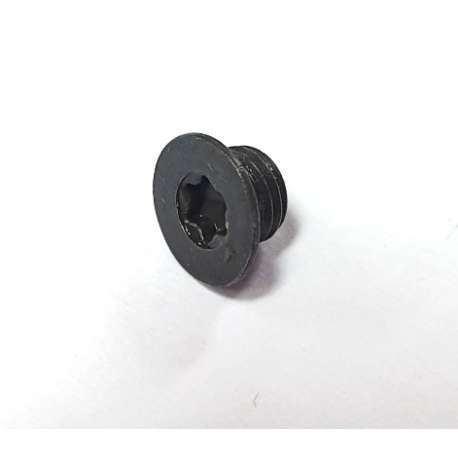 Vite Torx M4 per portautensili asolatore espandibile - Probois