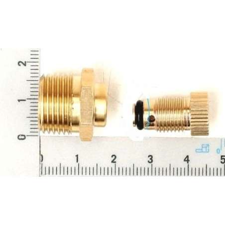 Bleed screw for compressor Scheppach HC54 - Probois machinoutils