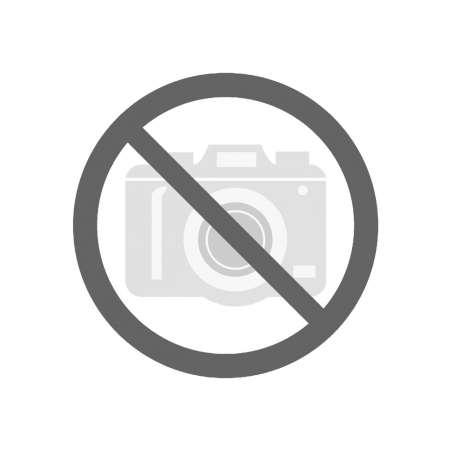 Pignon repère 209 pour fraiseuse Bernardo BF30super - Ref 97-911523